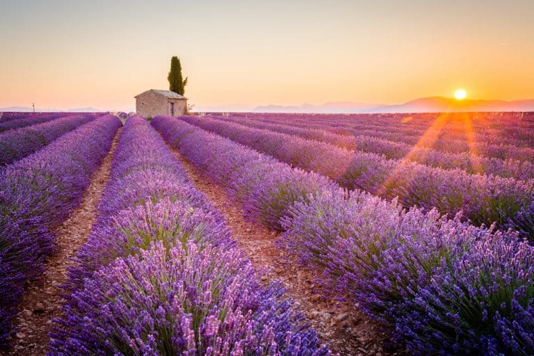 The 20 Of The Most Beautiful Places To Visit In France