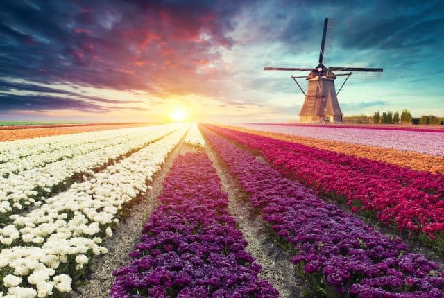 Top 20 Spectacular Spots In The Netherlands - GlobalGrasshopper