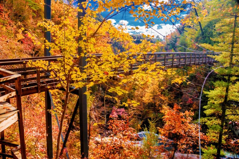 Top 21 Most Beautiful Places To Visit In Georgia - GlobalGrasshopper