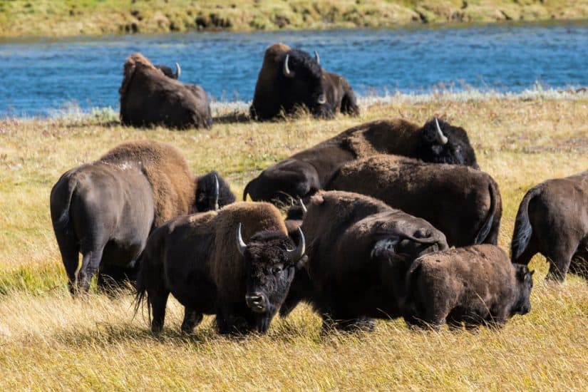 19 Beautiful Places To Explore In Wyoming - GlobalGrasshopper