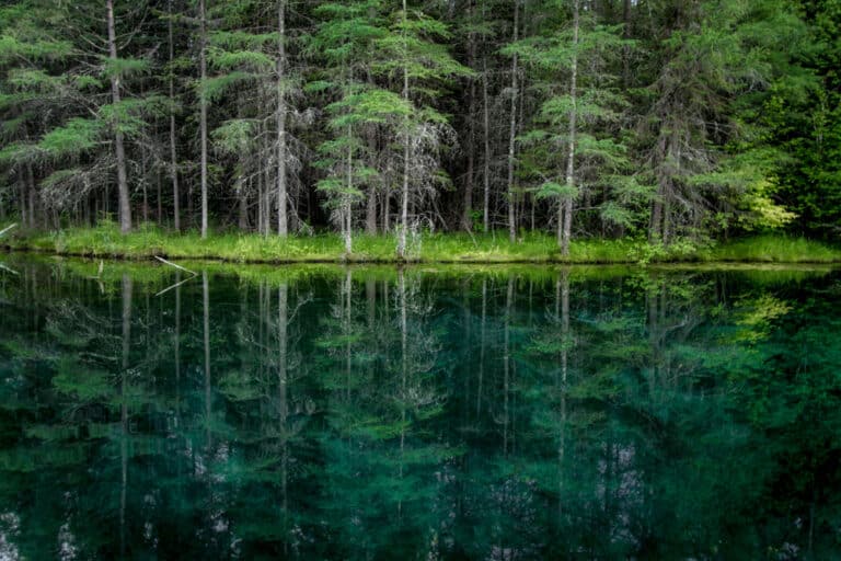 Top 25 Most Beautiful Places To Visit In Michigan - GlobalGrasshopper