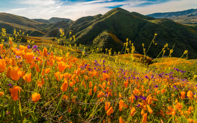 25 de los mejores lugares para visitar en abril en los Estados Unidos ...